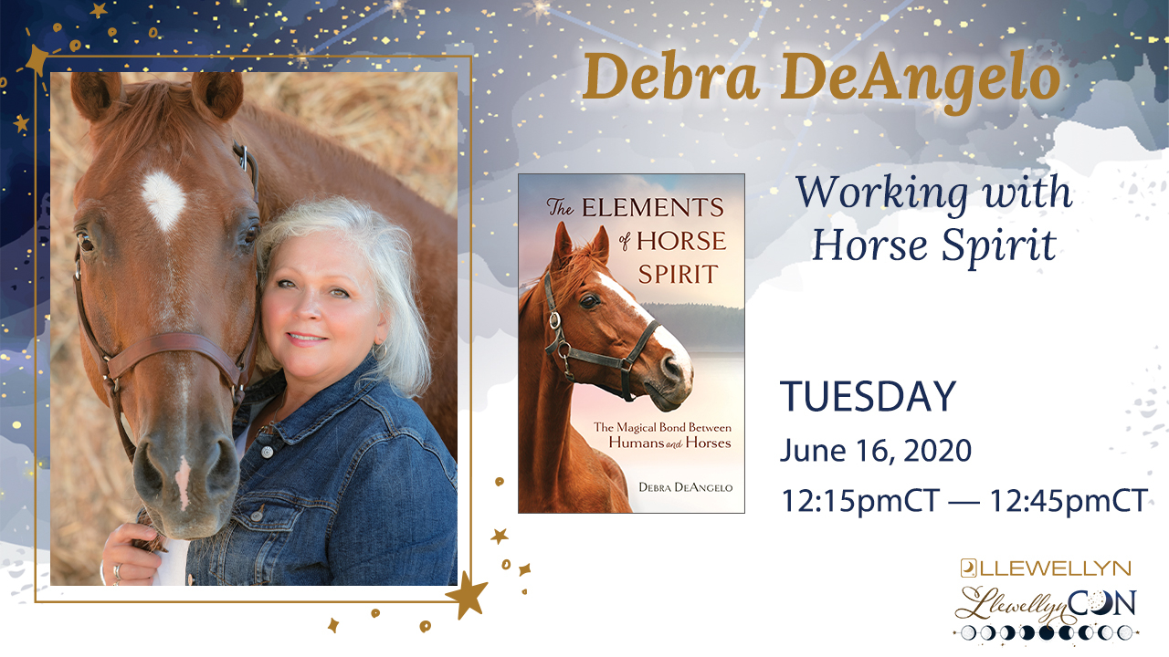 Video: Debra DeAngelo Presenting at LlewellynCon 2020 | Llewellyn ...